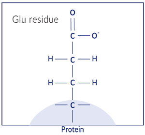Vitamin K2 vs Vitamin K1 | vitamink2.ca